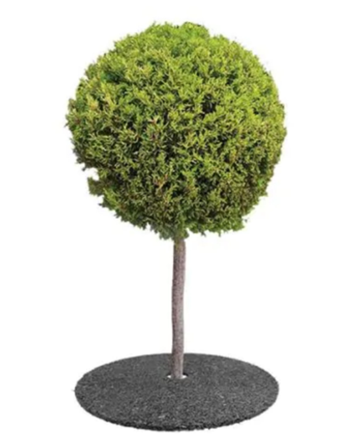 NGP Tree Cover - dia. 50 cm - Tilbehør Automower® - ROSENHOLM HAVE OG ...
